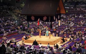 Watch Sumo Wrestling in Japan in Japan – Everything is Aussome